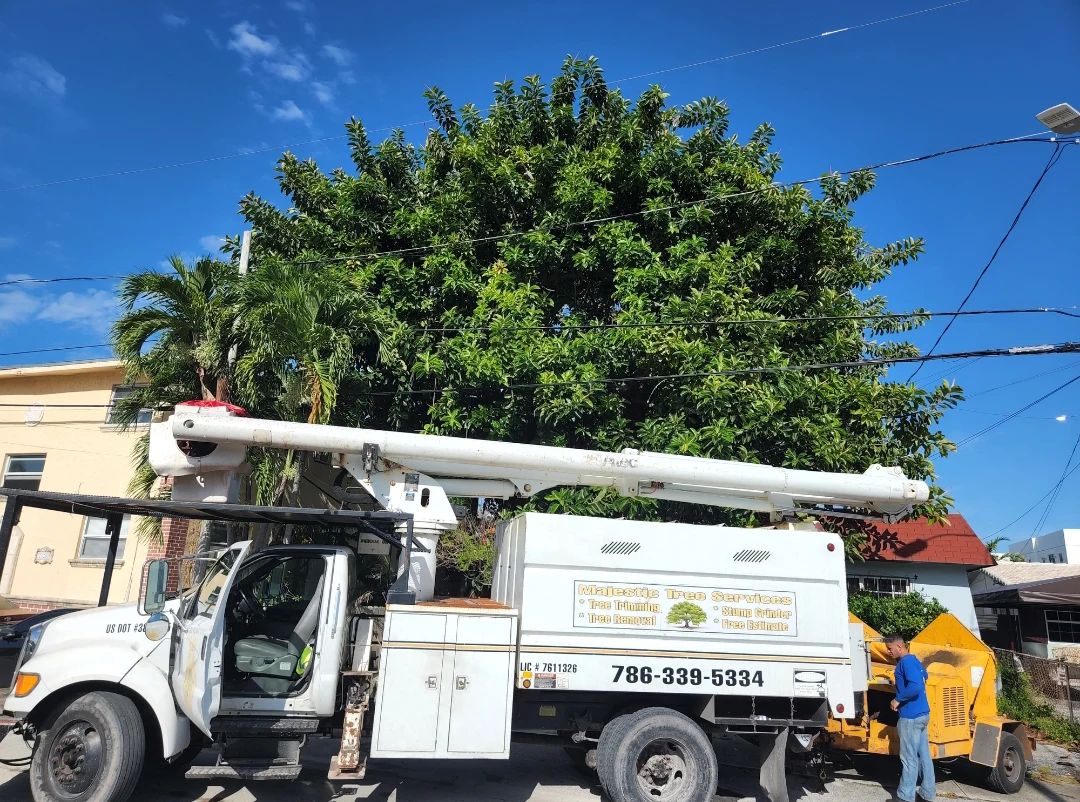 Majestic Tree Services - Your environment, our legacy. 🌳